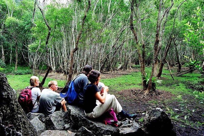 Halfday trekking Cat Ba Butterfly valley (more intense) - Key Points