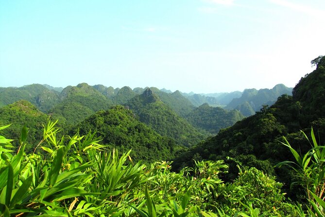 Halfday trekking Cat Ba Butterfly valley (more intense) - Who Should Consider This Tour