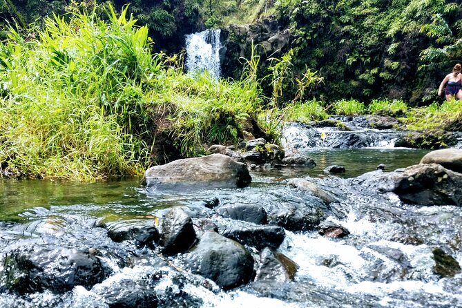 Halfway to Hana Private Tour Maui BlackBeach Waterfalls Turtles - Who Will Appreciate This Tour?