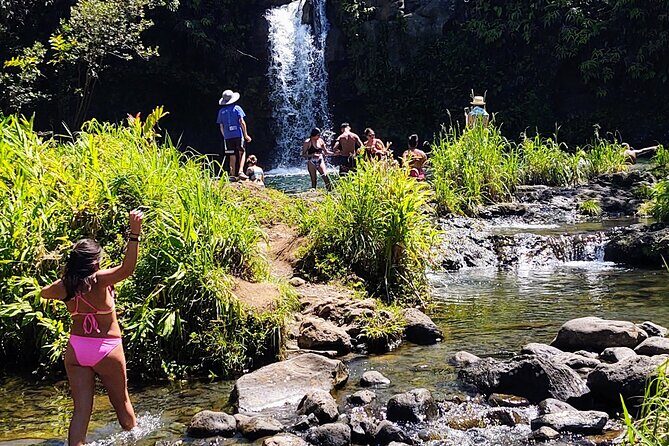 Halfway to Hana Private Tour Maui BlackBeach Waterfalls Turtles - Final Thoughts