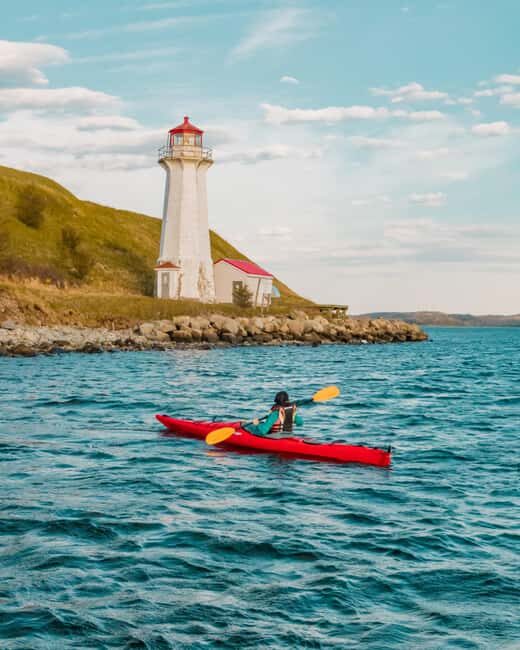 Halifax: Georges Island Kayak Tour - Practical Tips for Participants