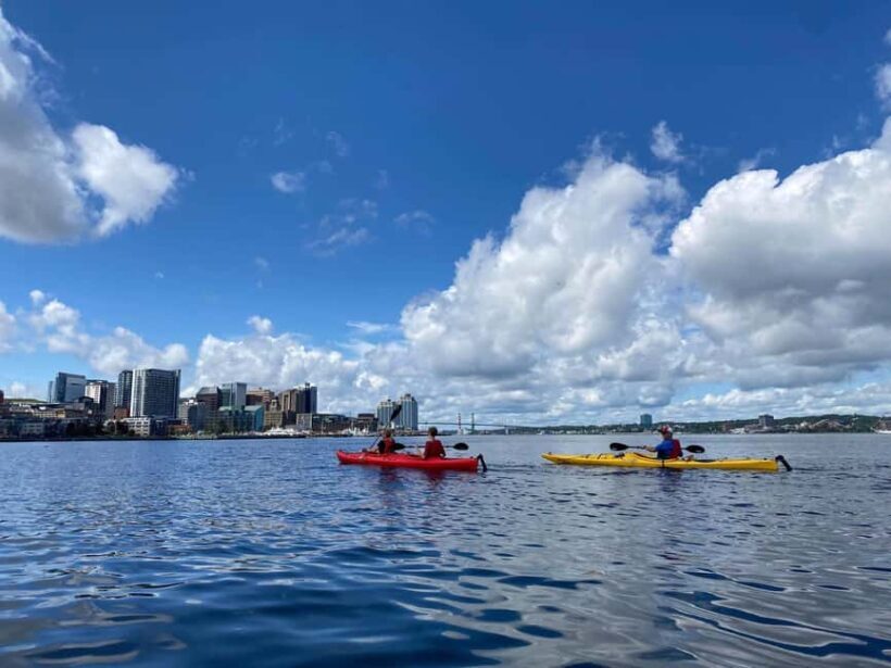 Halifax: Guided Kayak Tour with Multiple Options - Key Points