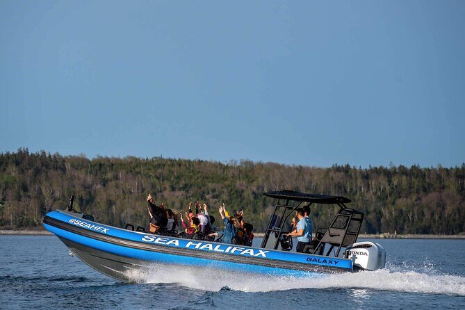 Halifax Harbour Historical & Wildlife High-Speed Tour - The Itinerary and What to Expect