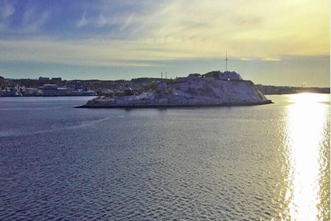 Halifax Shore Excursion: Halifax on Foot - Analyzing the Tour Itinerary: What You’ll See and Experience