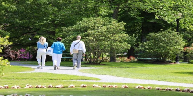 Halifax: Small Group Walking Tour with Citadel & Museum - Practical Tips for Travelers