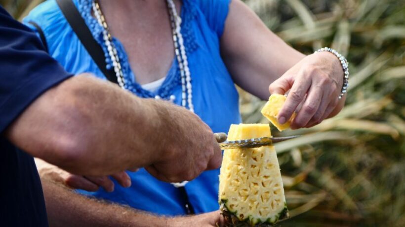 Hali'imaile: Pineapple Farm Tour - The Value of the Experience
