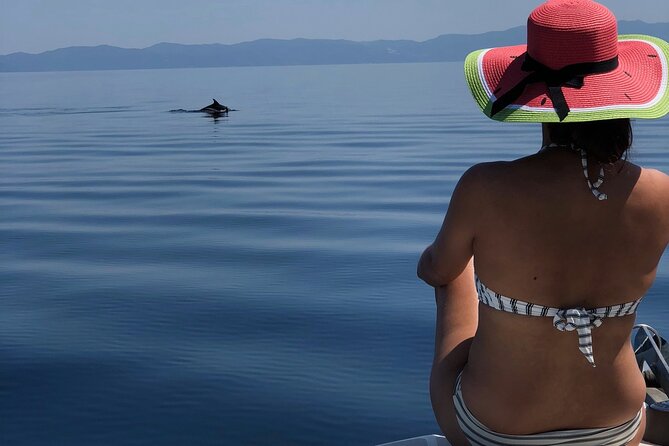 Halkidiki: Sithonia Private Full Day Cruise - Inclusions