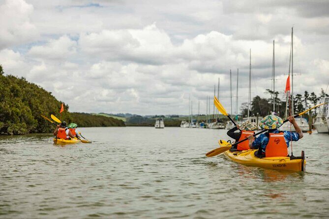 Hallertau Clevedon Kayak Tour - An In-Depth Look at the Tour Experience