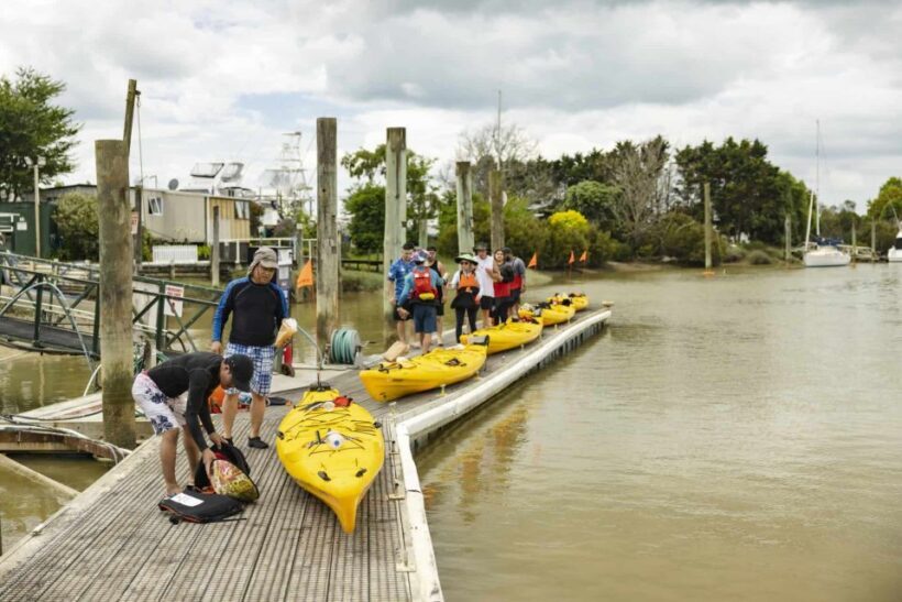 Hallertau Clevedon Kayak Tour - The Sum Up