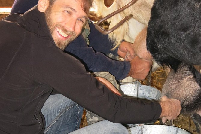 Halloumi Heaven: Cheese-Making Class & Troodos Mountain Villages 8h - Participant Information