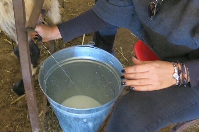 Halloumi Heaven: Cheese-Making Class & Troodos Mountain Villages 8h - Tasting Local Products