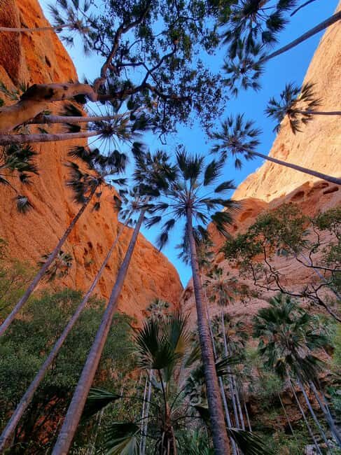 Halls Creek to Bungles: Fly /Drive + Aboriginal local guides - Who Will Love This Tour?