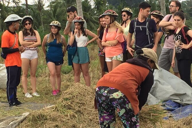 HALO BIKE Downhill Bali Countryside Cycling Tour - A Full Look at the Bali Countryside Cycling Experience