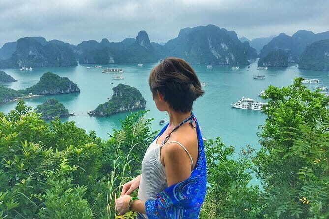 Halong Bay 1 Day Tour Included Limousine Bus Transfer from Hanoi - What Travelers Say (Based on Reviews)
