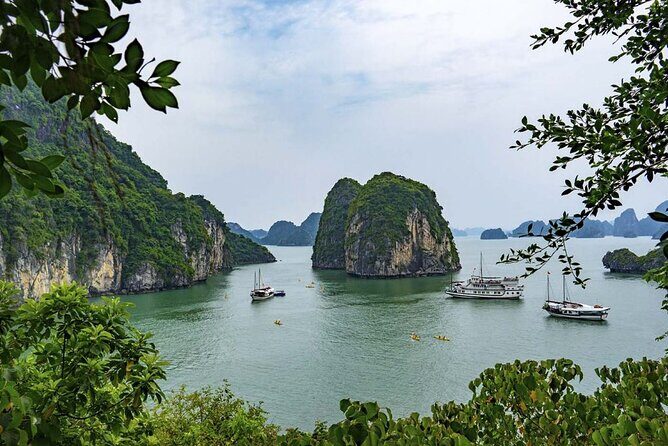 Halong Bay 2 Days-1 Night with Athena Cruise - An Overview of the Experience