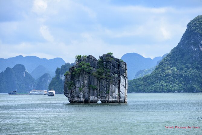 Halong Bay 6 Hours Cruise with Buffet, Sung Sot, Luon Cave, Titop - Key Points