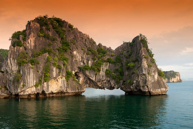 Halong Bay 6 Hours Cruise with Buffet, Sung Sot, Luon Cave, Titop - Who Should Book This Tour?