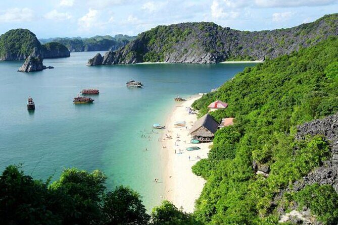 Halong Bay Cruise Luxury 1 Day Tours included Pick up & Transfers - Who Will Love This Tour