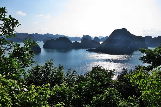 Halong Bay Cruise With 4 Star for 2days/ 1night all included - Day 2: Natural Wonders and Culinary Experiences