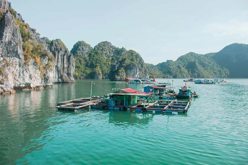 Halong Bay: Day Cruise from Halong Port Shore Excursion - Key Points