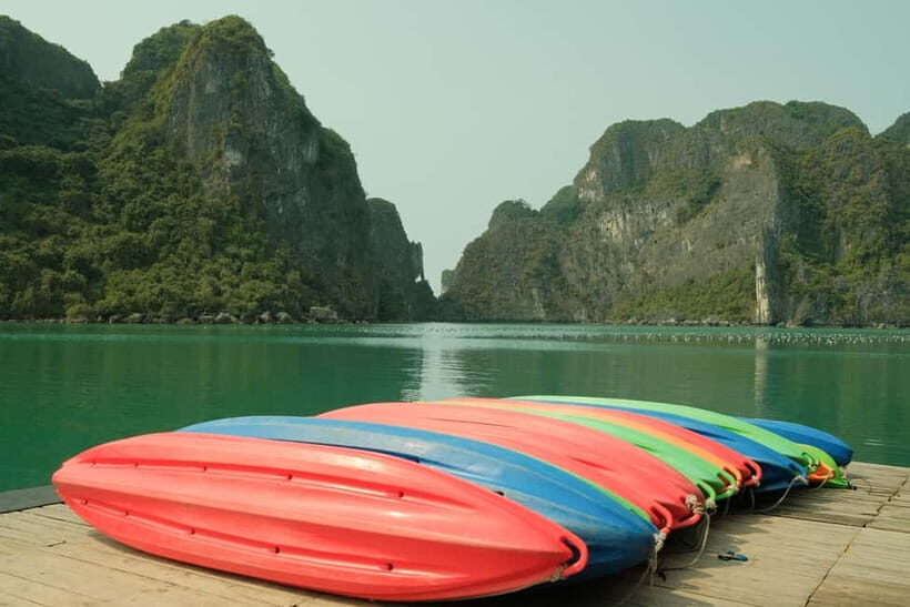 Halong Bay: Day Cruise from Halong Port Shore Excursion - Who Should Consider This Tour?