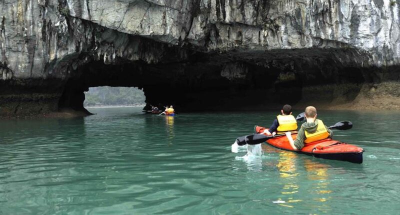 Halong Bay: Day Cruise from Halong Port Shore Excursion - Who Would Love This Tour?
