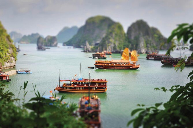 Halong Bay Day Cruise with Bamboo Boat Ride or Kayaking - Final Thoughts