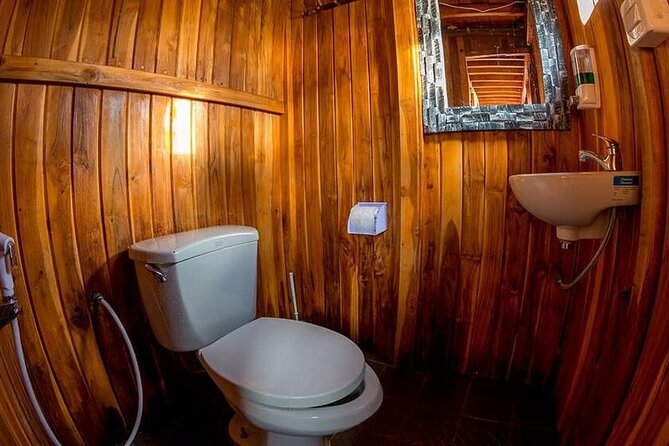 Halong Bay day tour 4 hours Cruise from Hanoi city - Introduction: A Short but Sweet Adventure