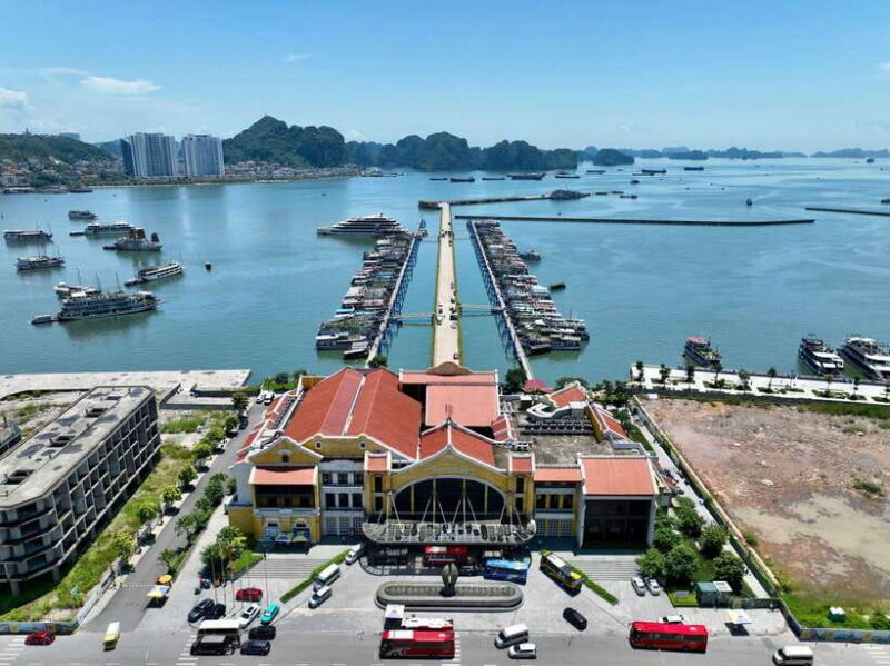 Halong bay day tour: Best seller IRIS CRUISE with live band - The Travel Experience: What Travelers Say