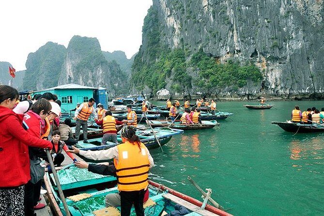 Halong Bay Day Trip 6-Hour Cruise Tour [Round-Trip Highway] With Lunch, Sea Kayak or Bamboo Boat (Row Boat) - How Does It Compare to Other Tours?