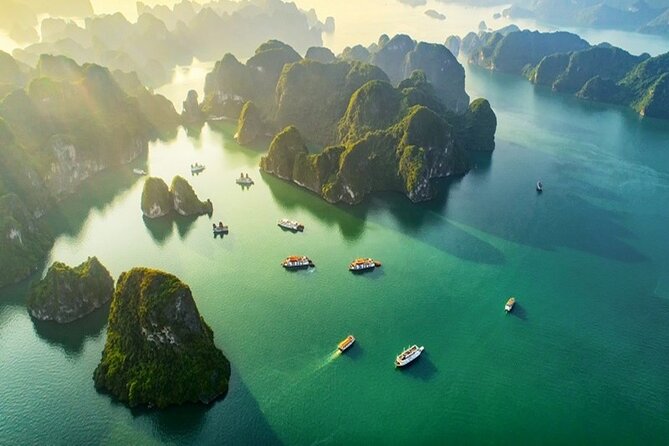 Halong Bay Day Trip 6hour: Buffet Lunch,Limousine bus,small group - Practical Tips for Your Trip