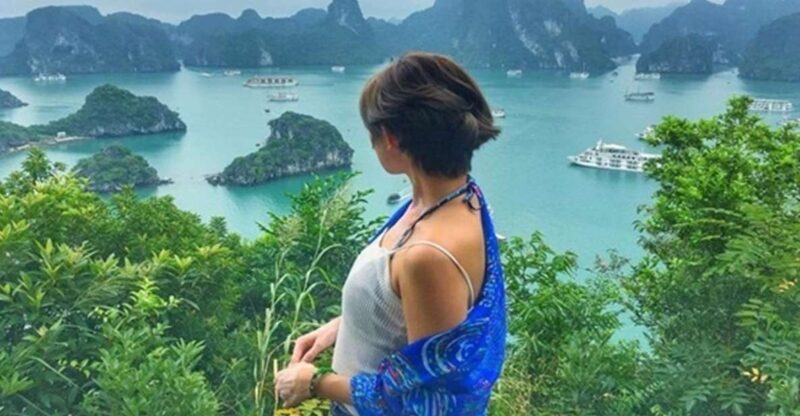 Halong Bay Full-Day Titop Island, Sung Sot & Luon Cave - Who Is This Tour Best For?