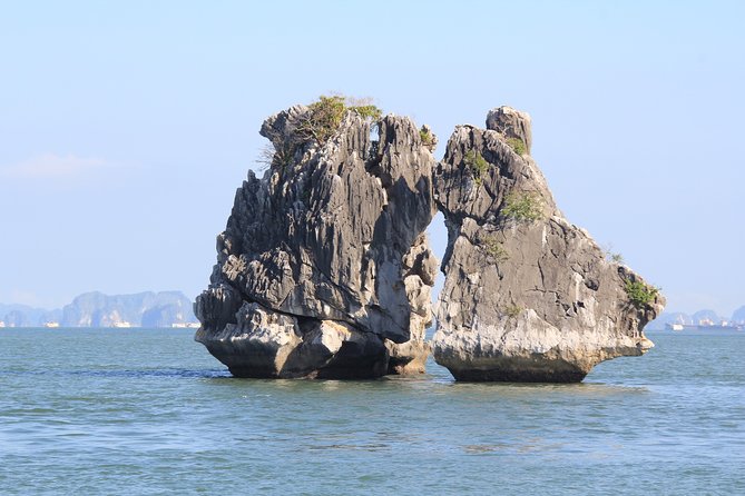 Halong bay full day trip: Visit Surprise cave, Titop island, kayaking & swimming - The Sum Up