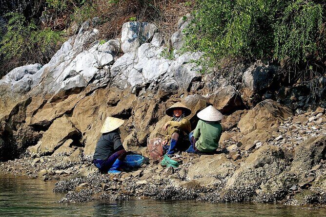 Halong bay one day trip from Hanoi - The Itinerary Breakdown: What to Expect