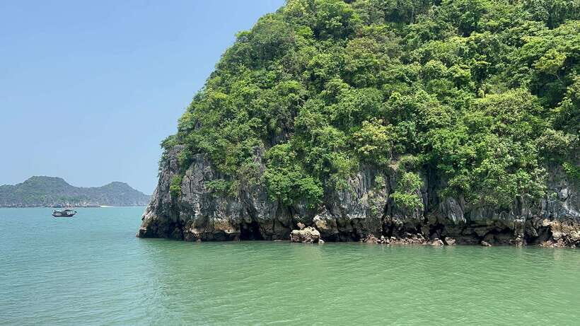 Halong Bay Sightseeing Cruise Full Day Tour With Buffet - Who Should Consider This Tour?