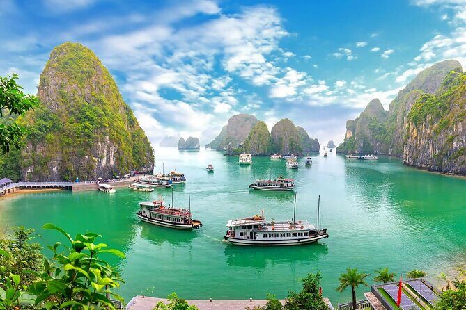 Halong Bay Standard Cruise 1 Day Tour from Tuan Chau Harbor/Hanoi - Key Points