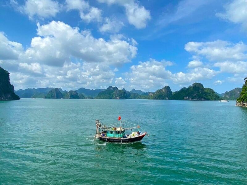 Halong Full Day Cruise: Kayak, Cave, Lunch, Beach & Island - Authentic Experiences and Guest Feedback
