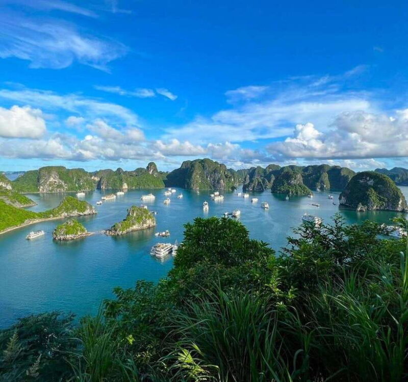 Halong Full Day Cruise: Kayak, Cave, Lunch, Beach & Island - Who Is This Tour Best For?