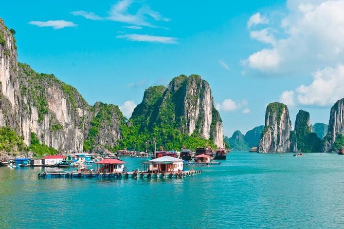 Halong full day standard group tour to Sung Sot Cave and Titop island - What Travelers Say
