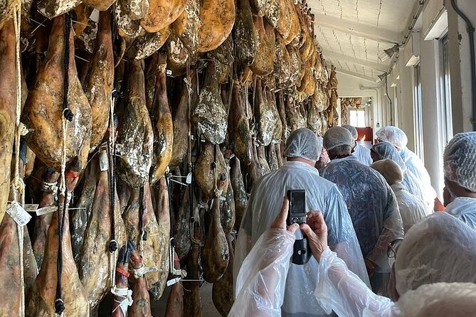 Ham Factory Visit in Salamanca Review - Tasting of Various Ham Cuts and Qualities