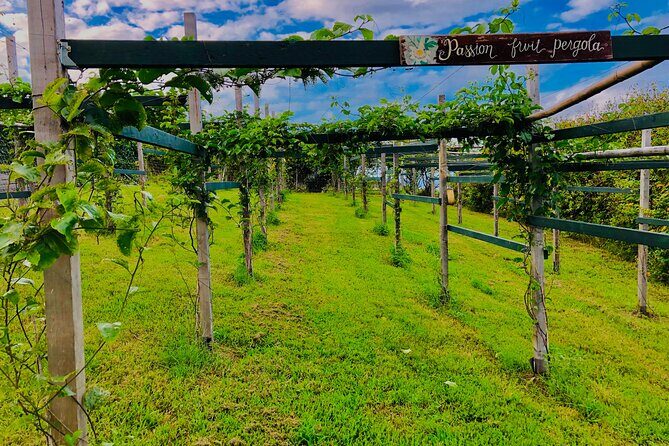 Hamakua Coast Farm Small-Group Walking and Tasting Tour - Key Points