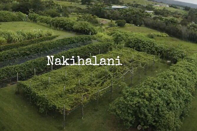 Hamakua Coast Farm Small-Group Walking and Tasting Tour - FAQ
