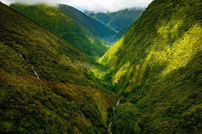 Hamakua Coast & Valleys Safari - What Past Travelers Say