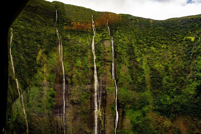 Hamakua Coast & Valleys Safari - The Sum Up: Who Will Love This Tour?