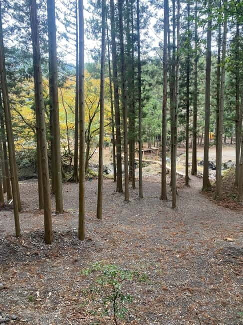 Hamamatsu Japan: Riverside Camping - FAQ