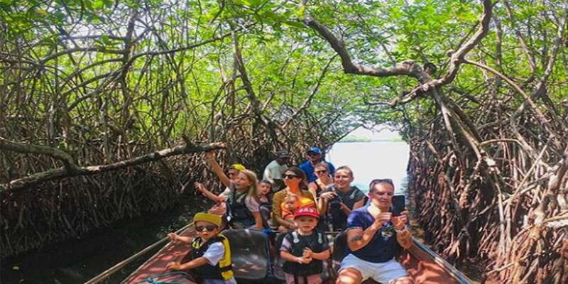 Hambantota: Galle & Bentota Coastal Day Tour - Final Thoughts