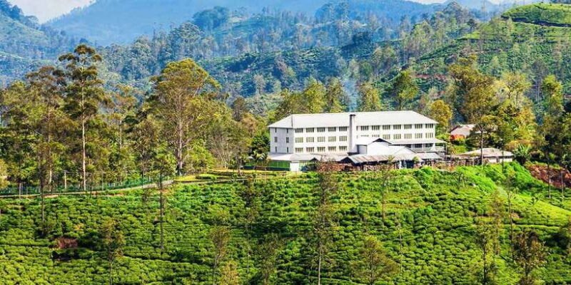 Hambantota/Tangalle/Hiriketiya: Ella Highlands Day Tour - The First Stop: Buduruwagala Temple