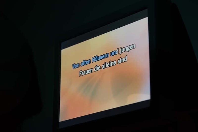 Hamburg: 1.5-Hour International Karaoke Bus Tour - The Itinerary: What You Can Expect