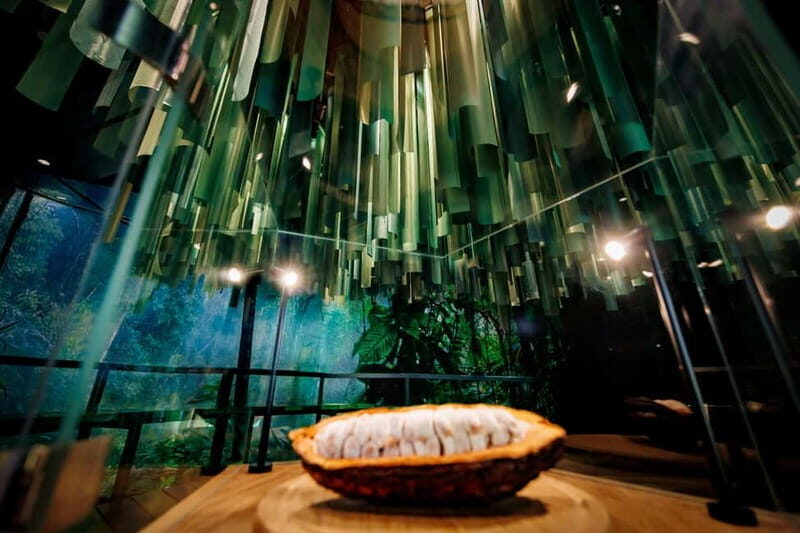 Hamburg: Chocoversum Guided Tour with Tastings - Real Voices: What Visitors Are Saying