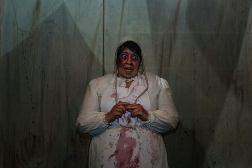 Hamburg: Hamburg Dungeon Admission Ticket - Practical Information and Tips
